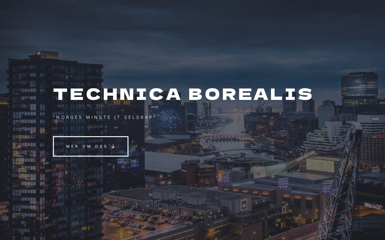 Techinca Borealis AS